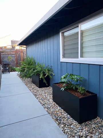 black rectangle planter box