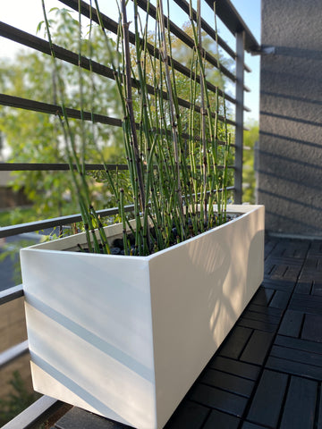 Root and Stock Belmont Rectangle Planter Box - White